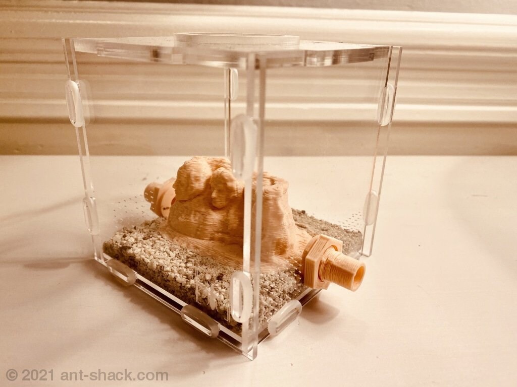 Medium Ant Outworld Kit mount Rushmore Premium | Etsy