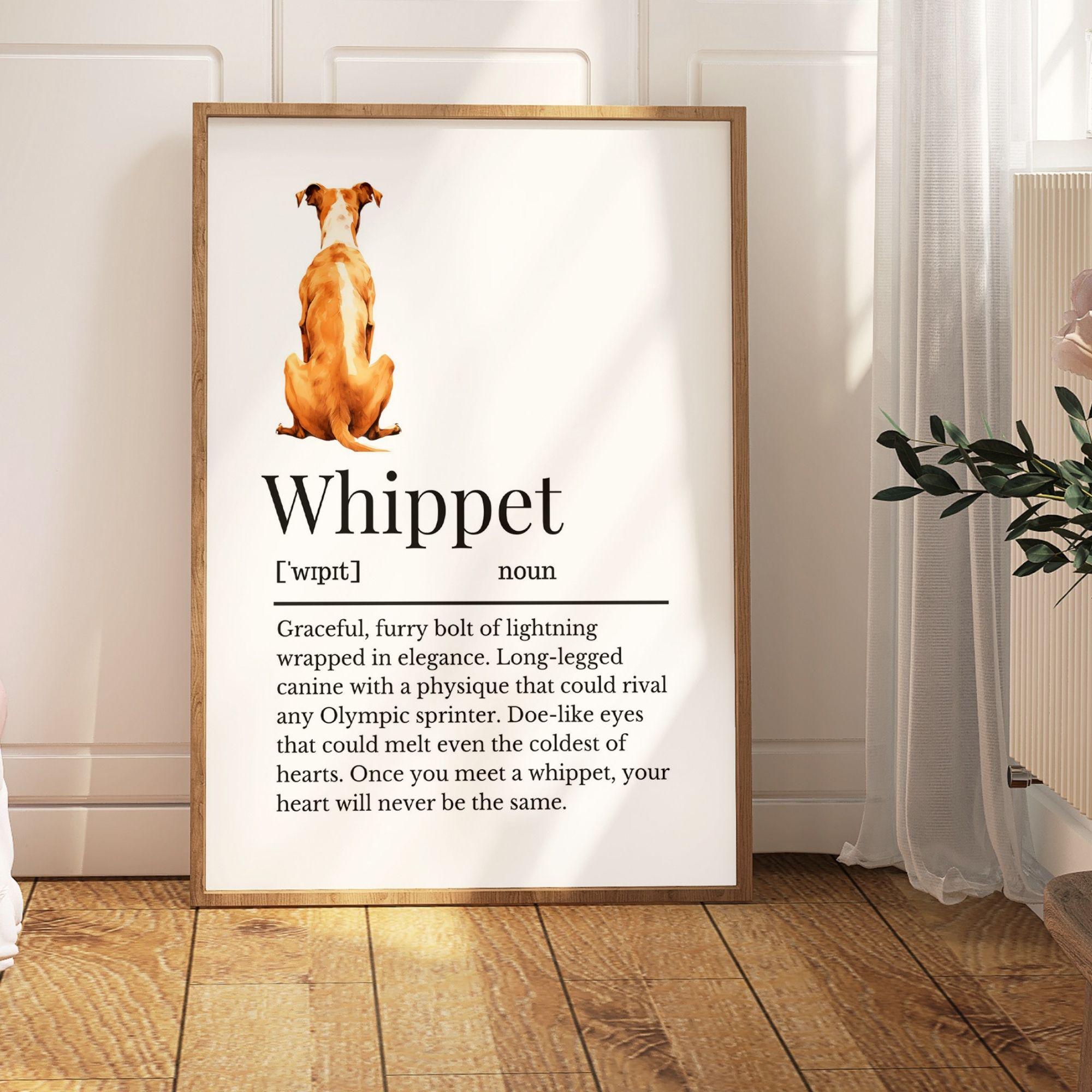 Whippet Definition Print, Wall Print for Whippet Owner, Whippet Print ...
