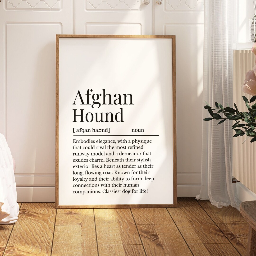 Afghan Hound Definition Print Wall Print for Afghan Hound - Etsy