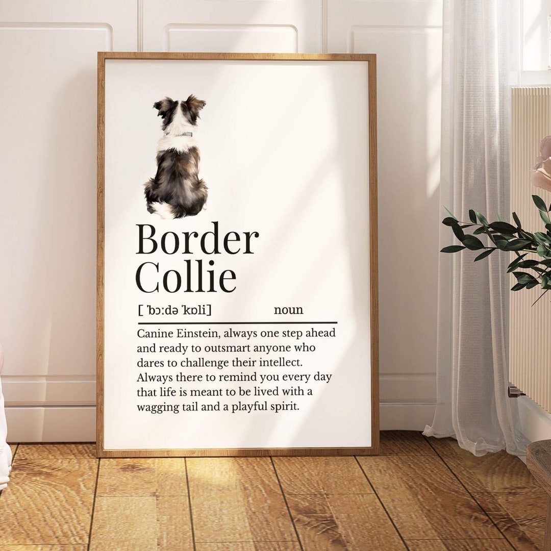 Border Collie Definition Print, Border Collie Print, Dog Owner Gift ...