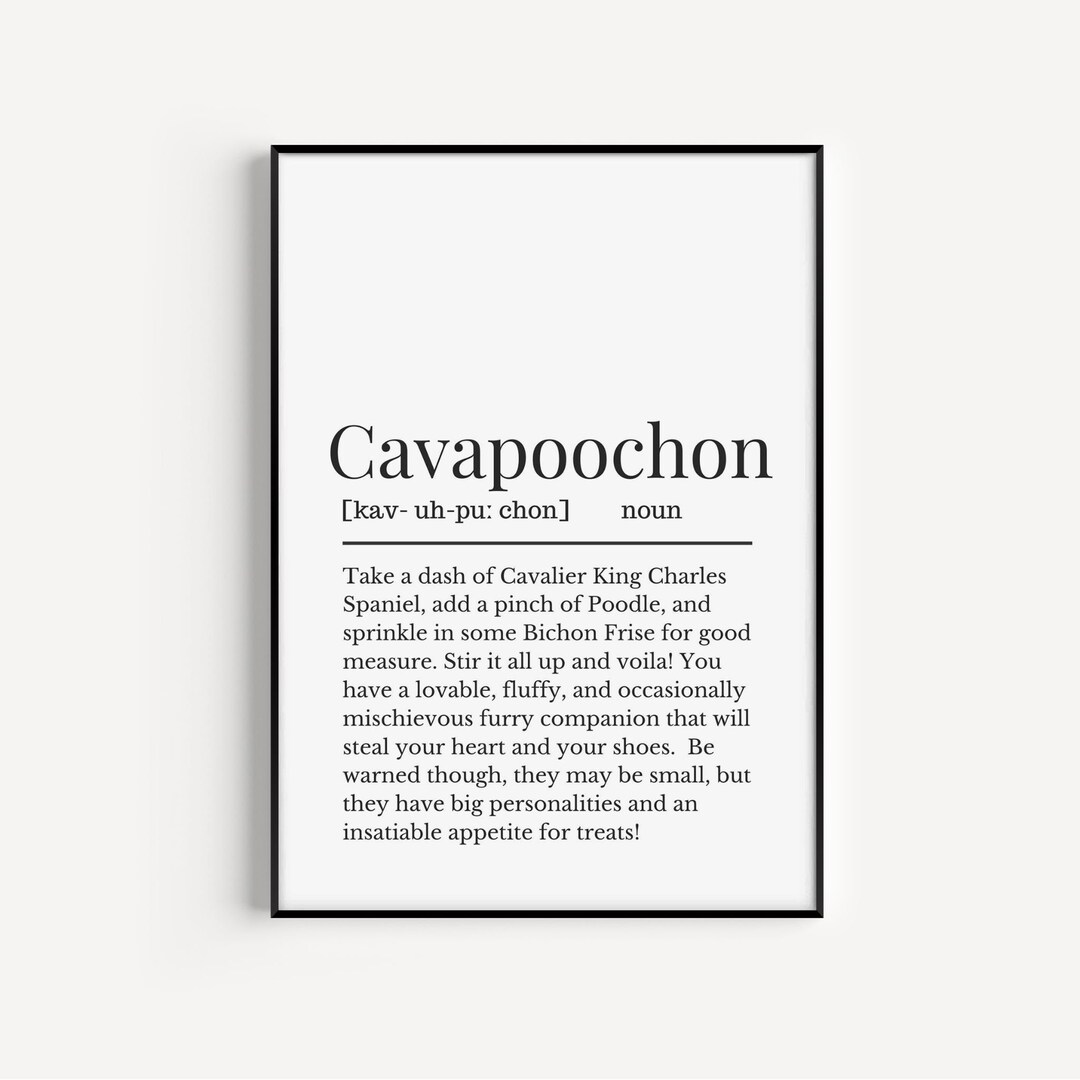Cavapoochon Definition Print Wall Print for Cavapoochon - Etsy