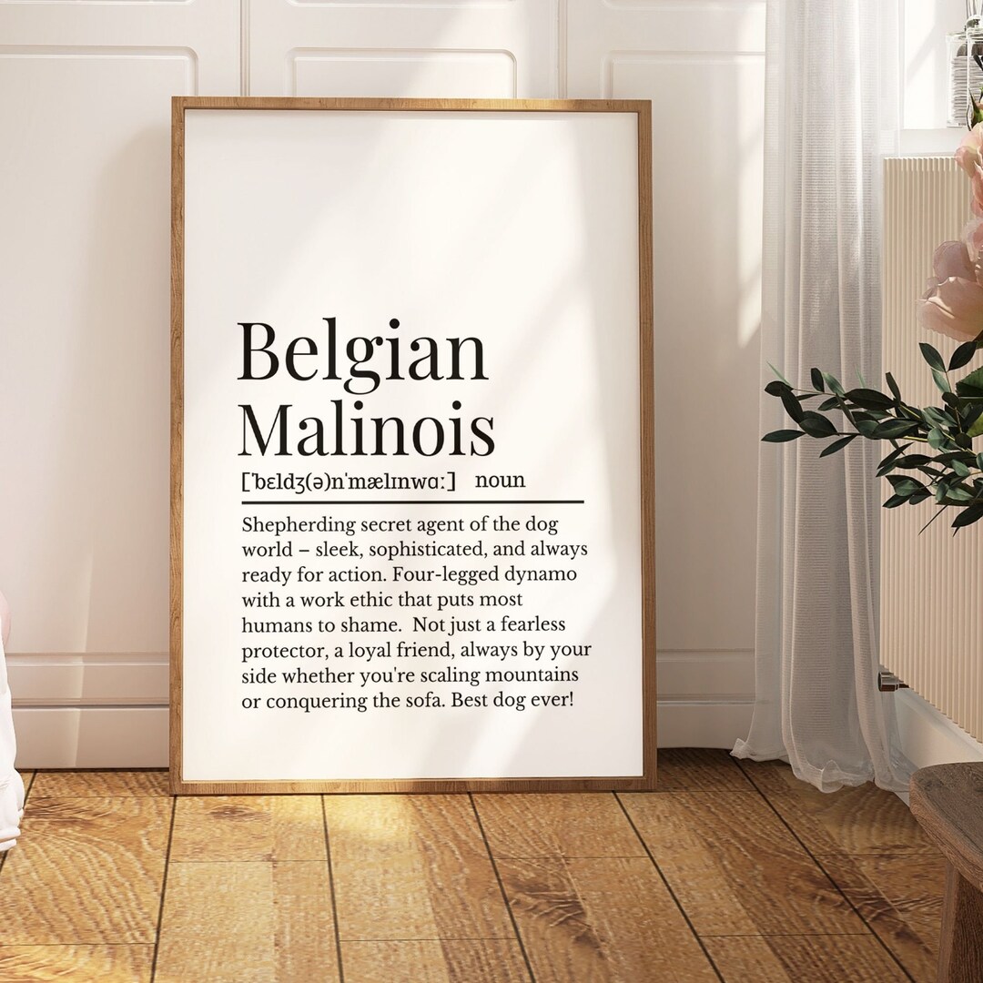 Belgian Malinois Definition Print, Belgian Malinois Print, Wall Print ...