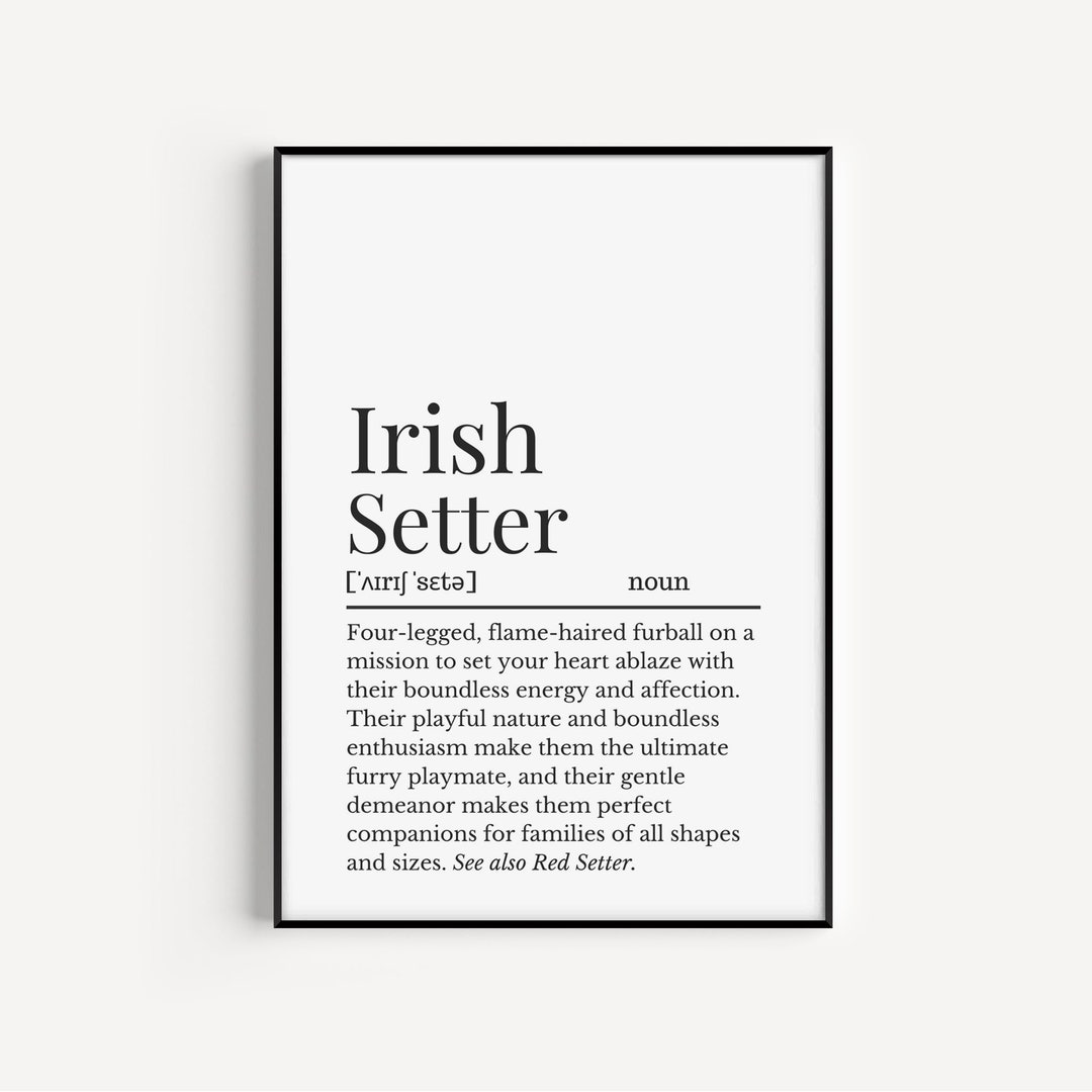 Irish Setter Definition Print Irish Setter Print Wall Print - Etsy