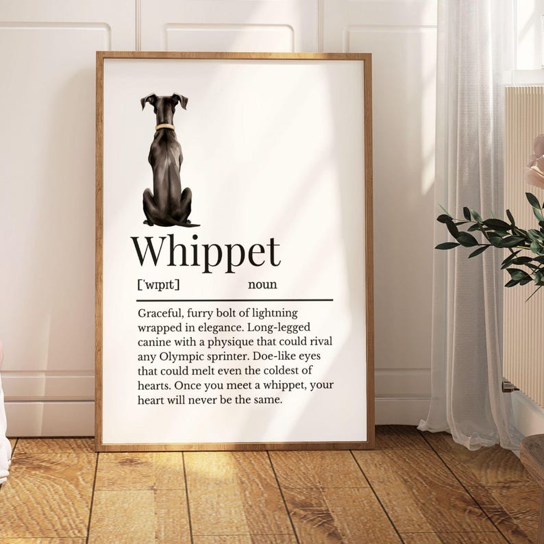 Whippet Definition Print, Wall Print for Whippet Owner, Whippet Print ...