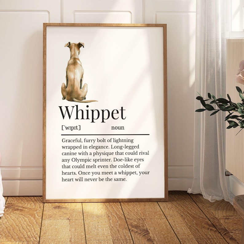 Whippet Definition Print, Wall Print for Whippet Owner, Whippet Print ...