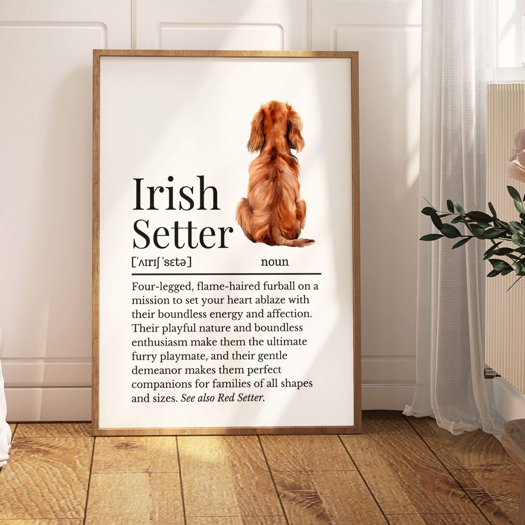 Irish Setter Definition Print, Irish Setter Print, Wall Print for Irish ...