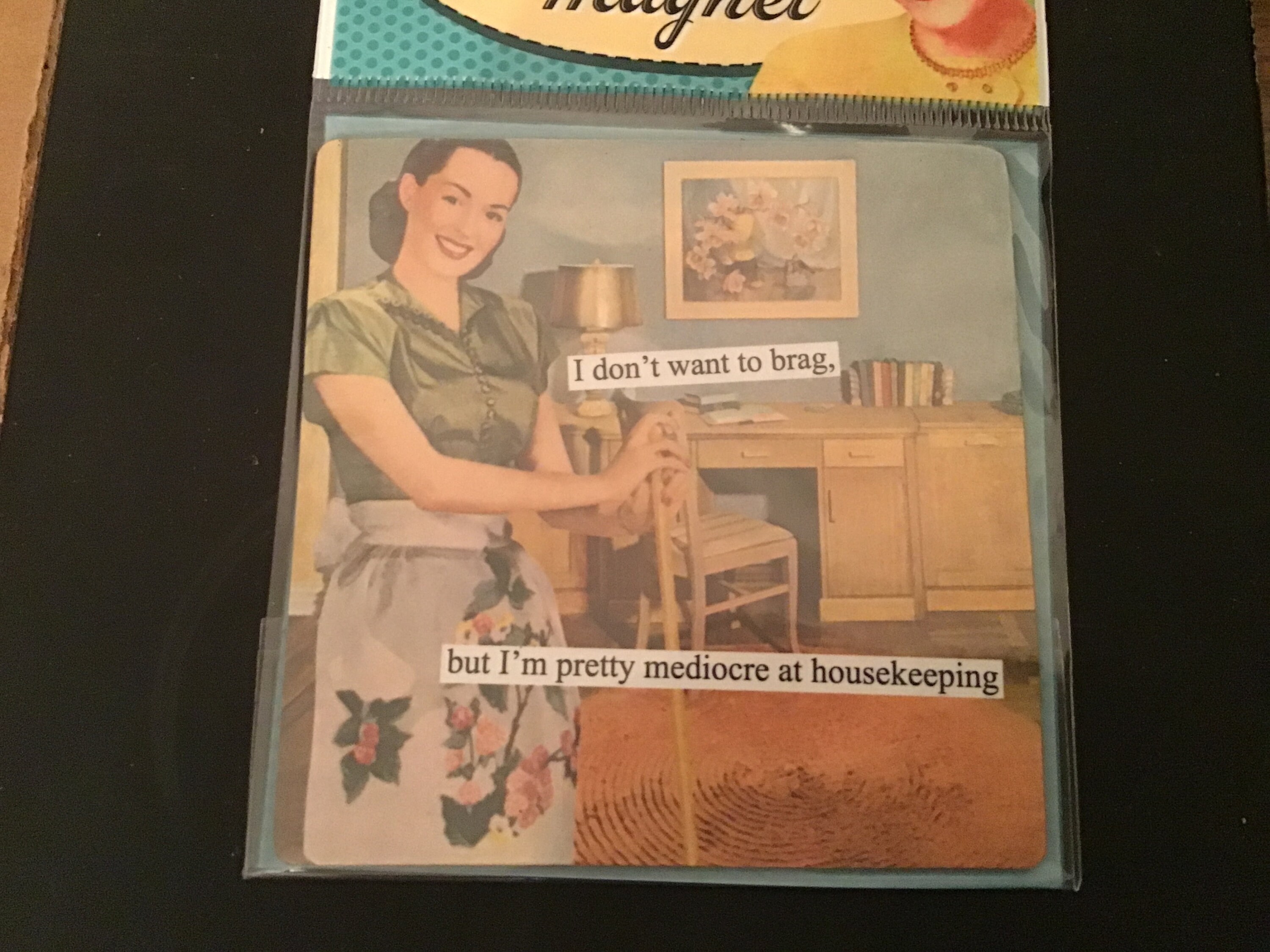 Anne Taintor Magnets Refrigerator Magnets Retro Design Funny Gifts - Etsy
