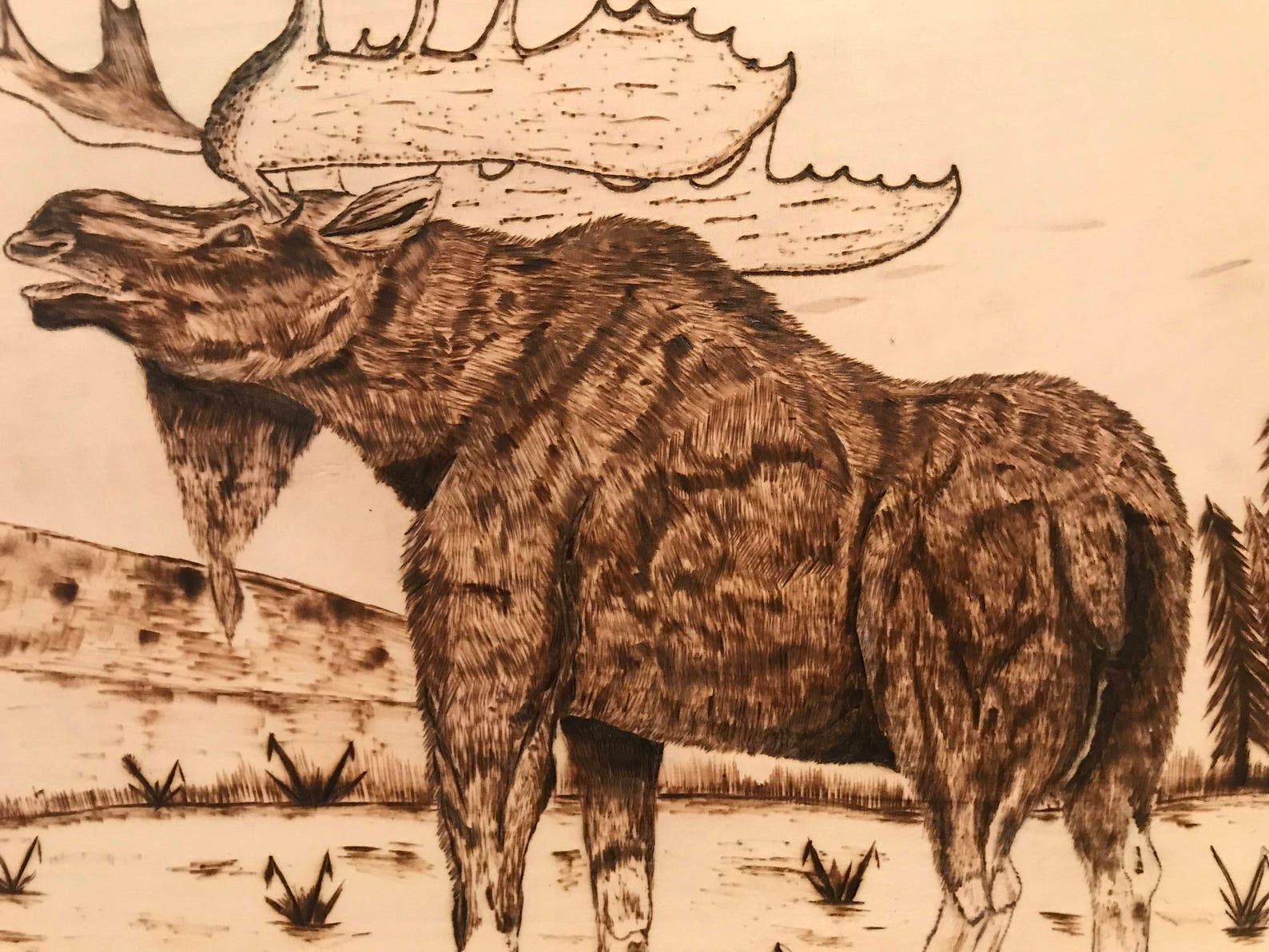 Moose wood burning | Etsy