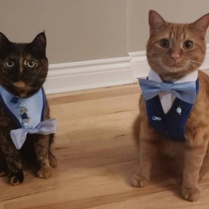 Cat Wedding Harness/suit/tuxedo/dress. Bespoke Pet Couture. Made to ...