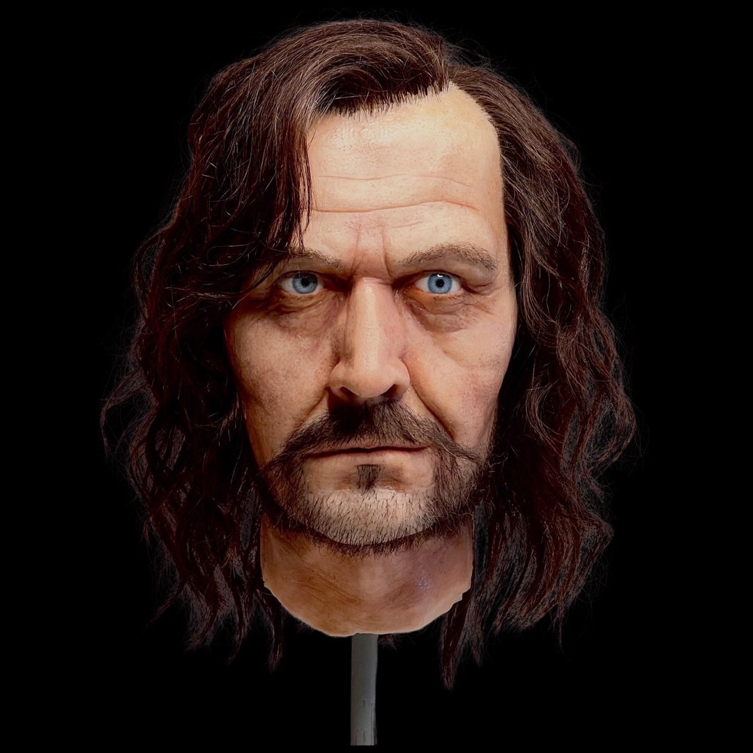 Sirius Black - Harry Potter - 1:1 Life-size Silicone Bust - Made to ...