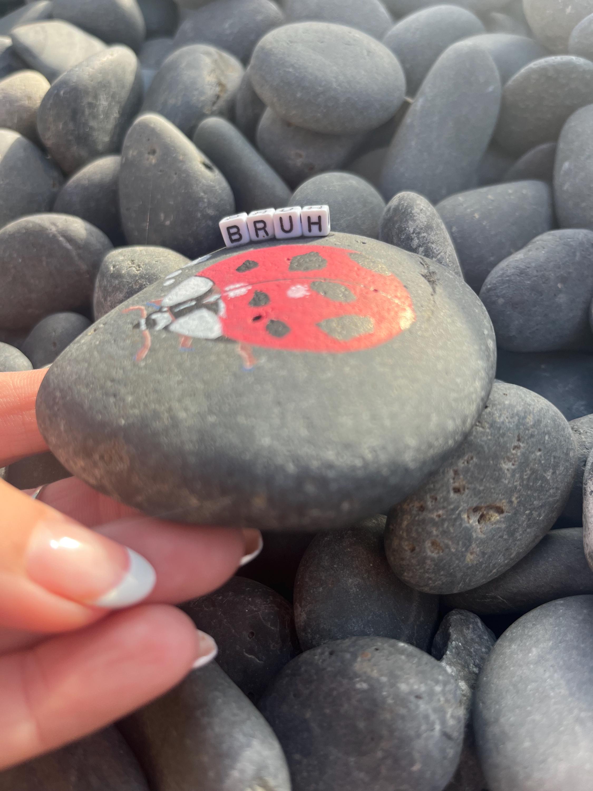 THE LADIEST - Little Lady Bug - Etsy