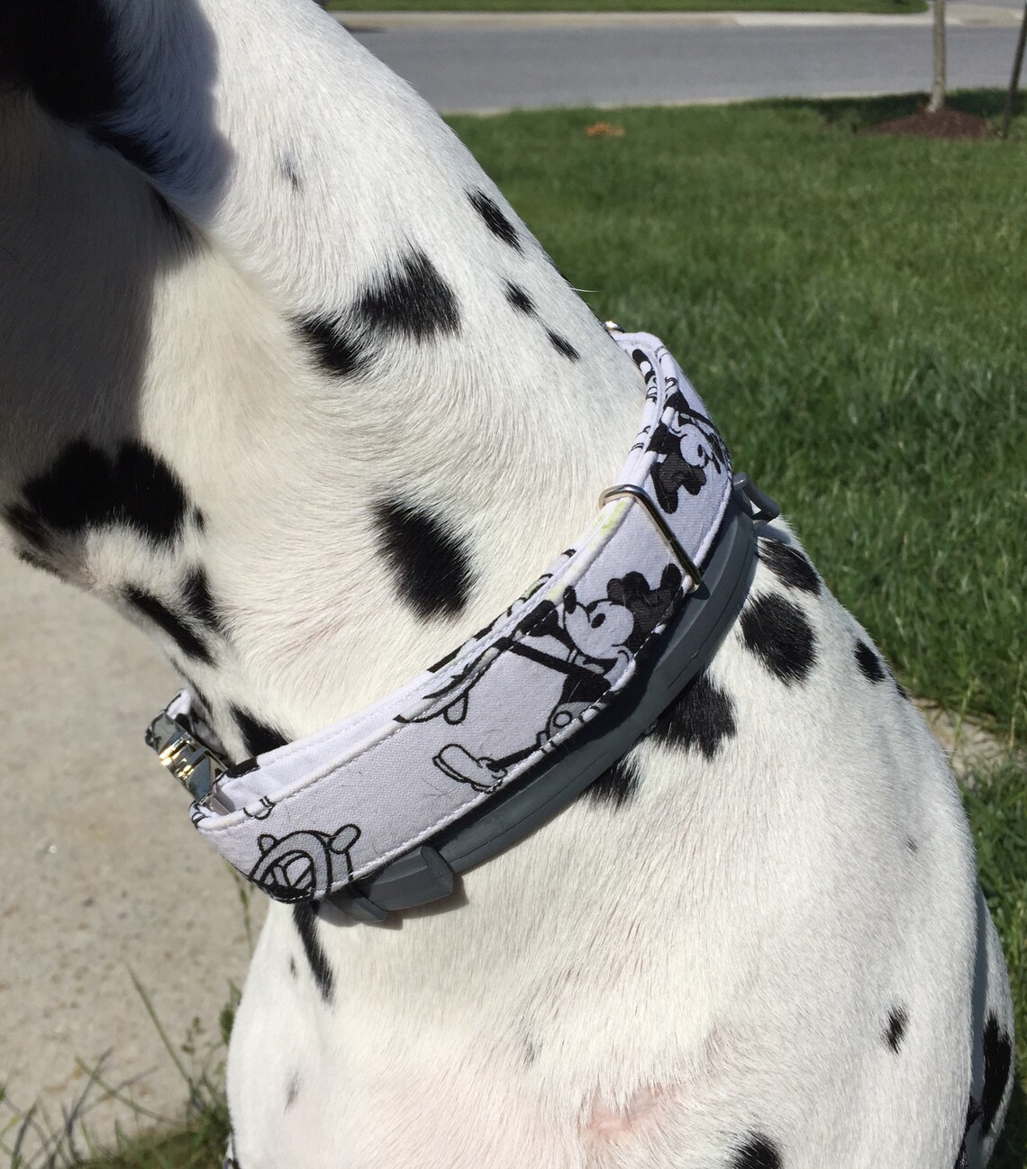 Disney Mickey Mouse Comic Book Dog Collar - Etsy