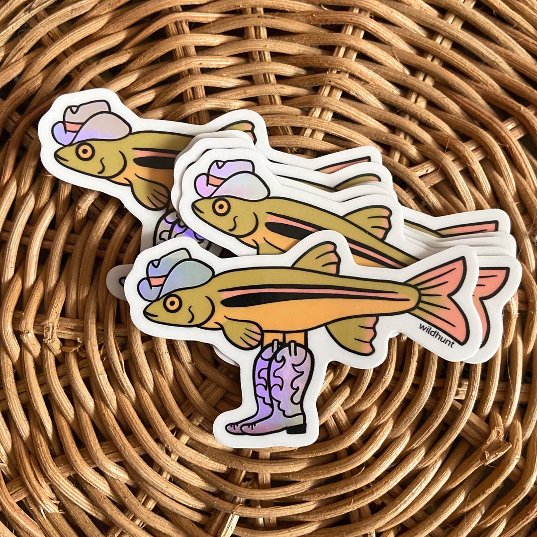 Cowboy Boot Fish Holographic Vinyl Sticker - Etsy