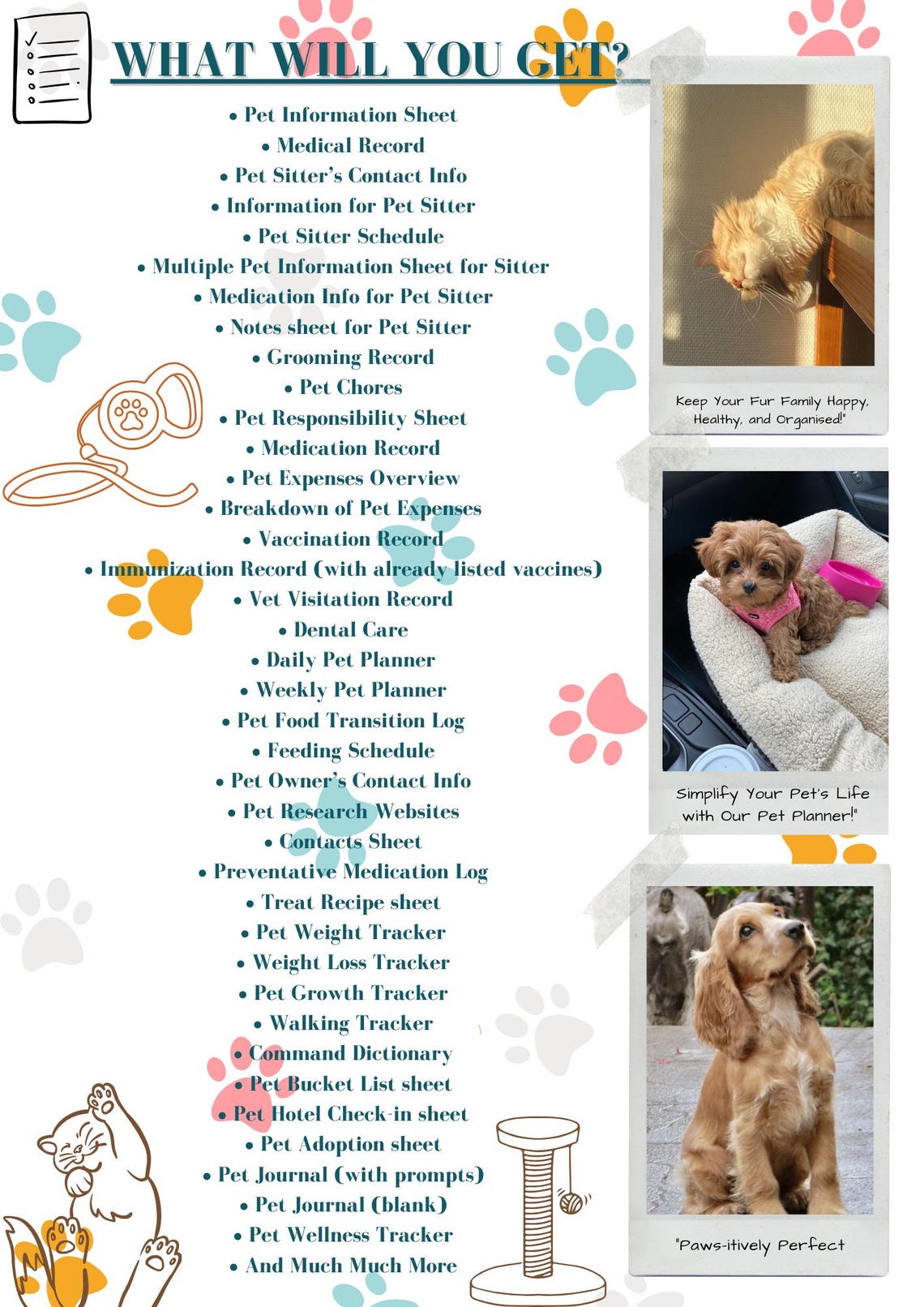 All in One Pet Care Planner Printable Pet Workbook Pet Checklists Pet ...