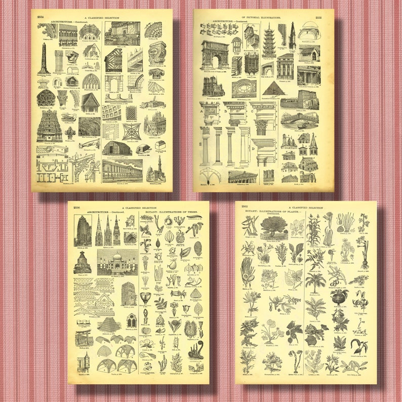 16 Digital Printable Vintage Dictionary Illustration Pages, 8.5" X 11 ...