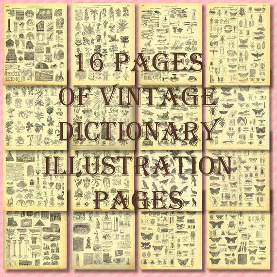 16 Digital Printable Vintage Dictionary Illustration Pages - Etsy