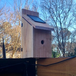 Solar Powered Birdhouse & Live Streaming Camera, Smart Bird House ...
