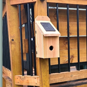 Solar Powered Birdhouse & Live Streaming Camera, Smart Bird House ...
