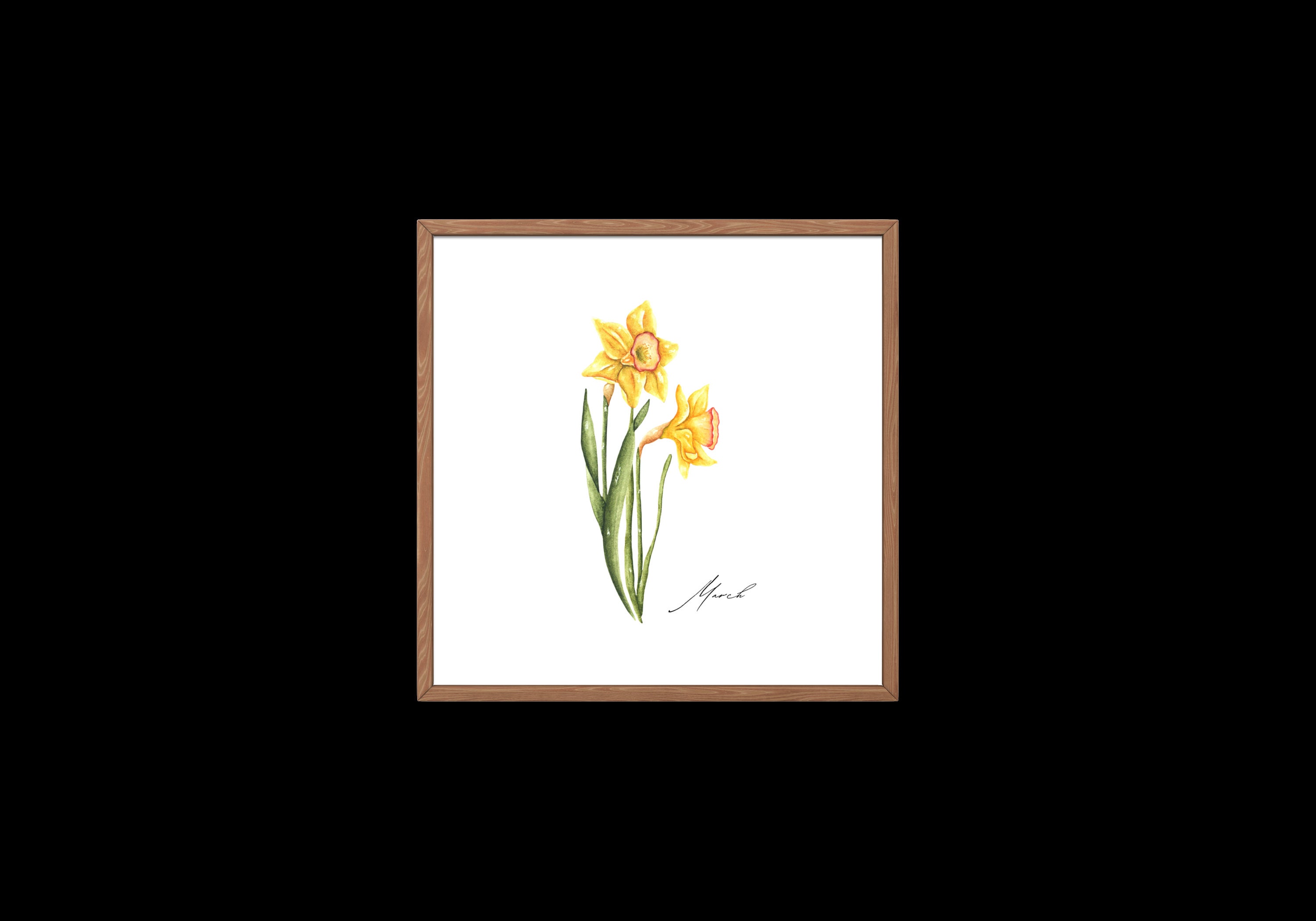 March Birth Flower Month Print Birthday Gift Flower Daffodil ...