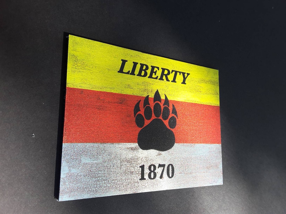 Small Resistance Pineland Flag Print on Brushed Aluminum - Etsy