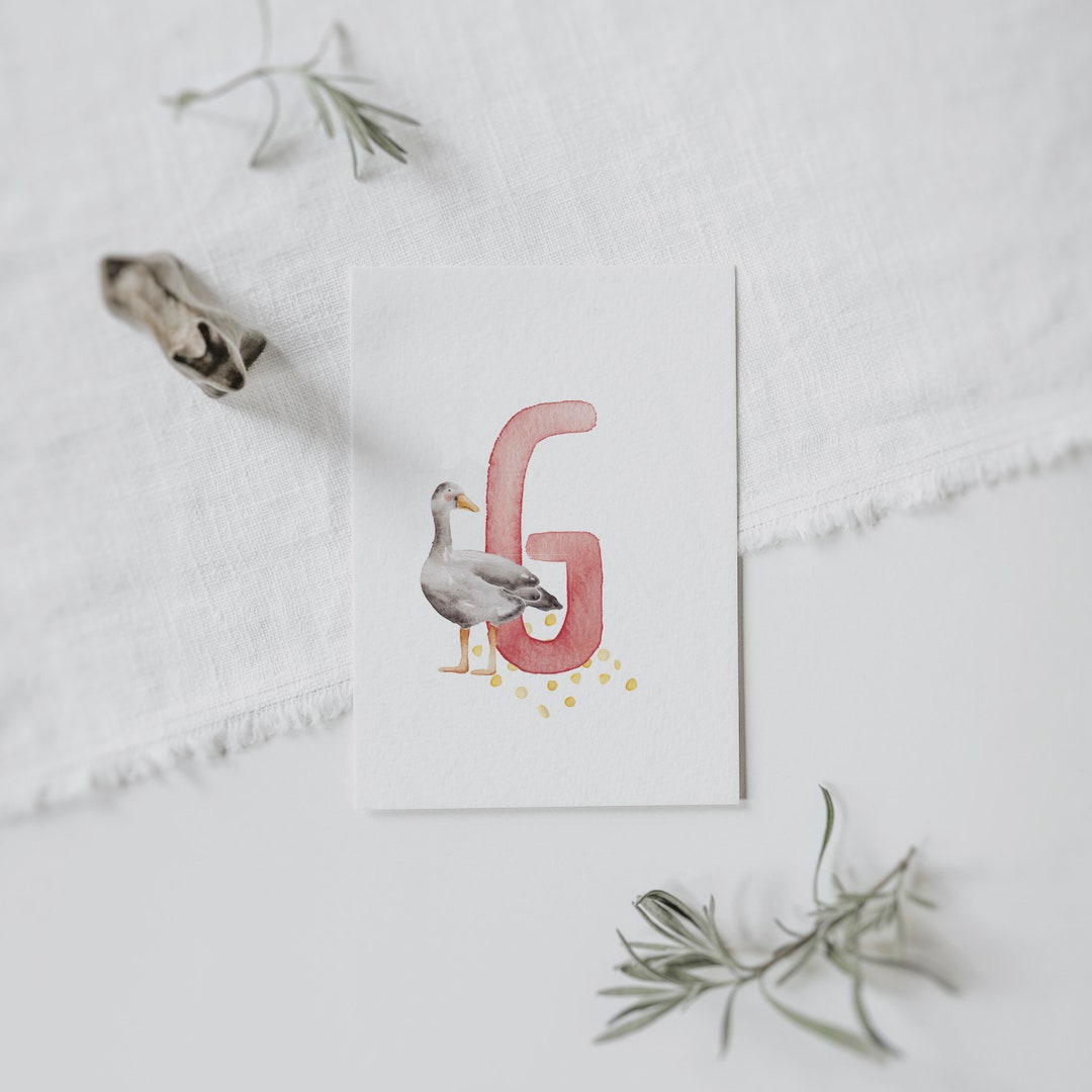 ABC Card G for Goose Alphabet Map Watercolor Animal Name Card ...