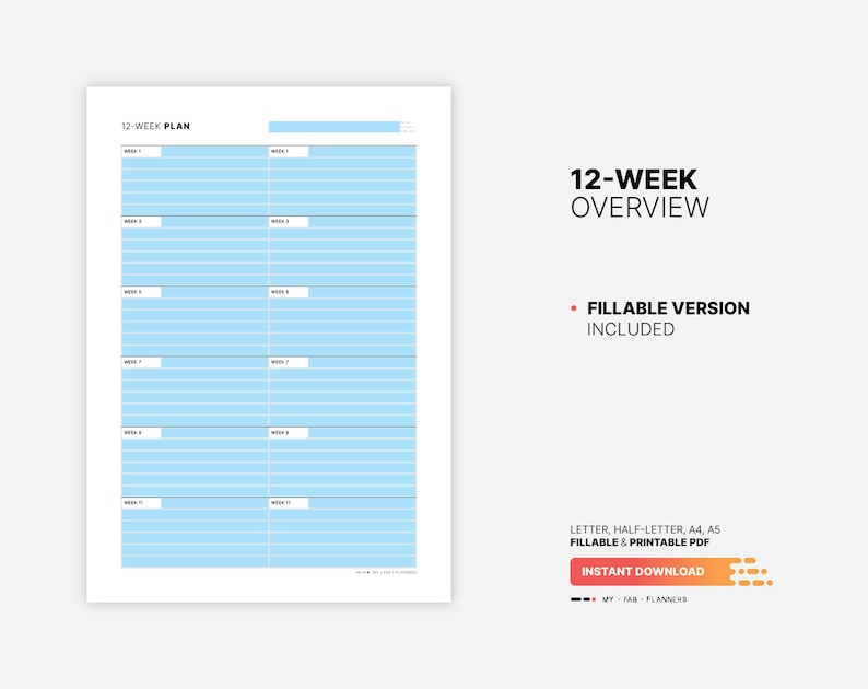 12 Week Overview Planner Fillable Goal Setting Goals Action | Etsy