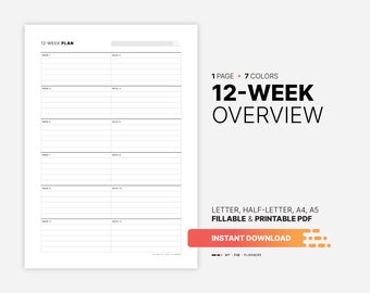 12 Week Vision Board Fillable Goal Setting Overview Planner | Etsy