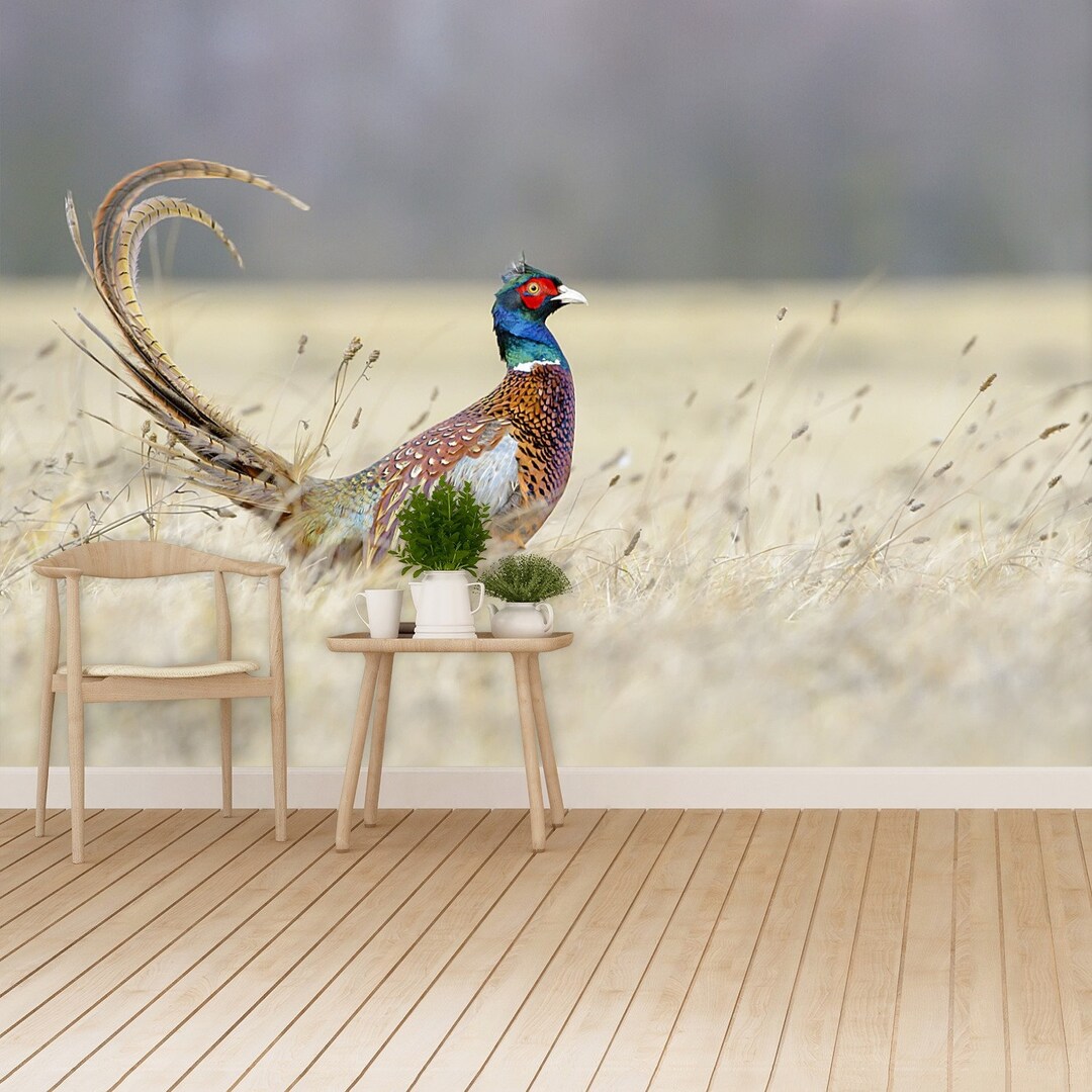 Pheasant Peel&stick or Non-woven Photo Wallpaper | Mural Pheasant ...