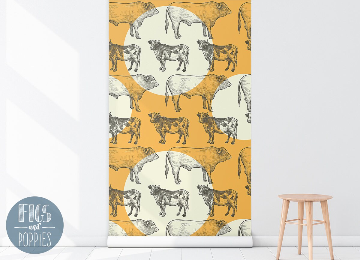 Retro Cows 247 - REMOVABLE WALLPAPER - Pumpkin and Beige, Animals, Wall ...