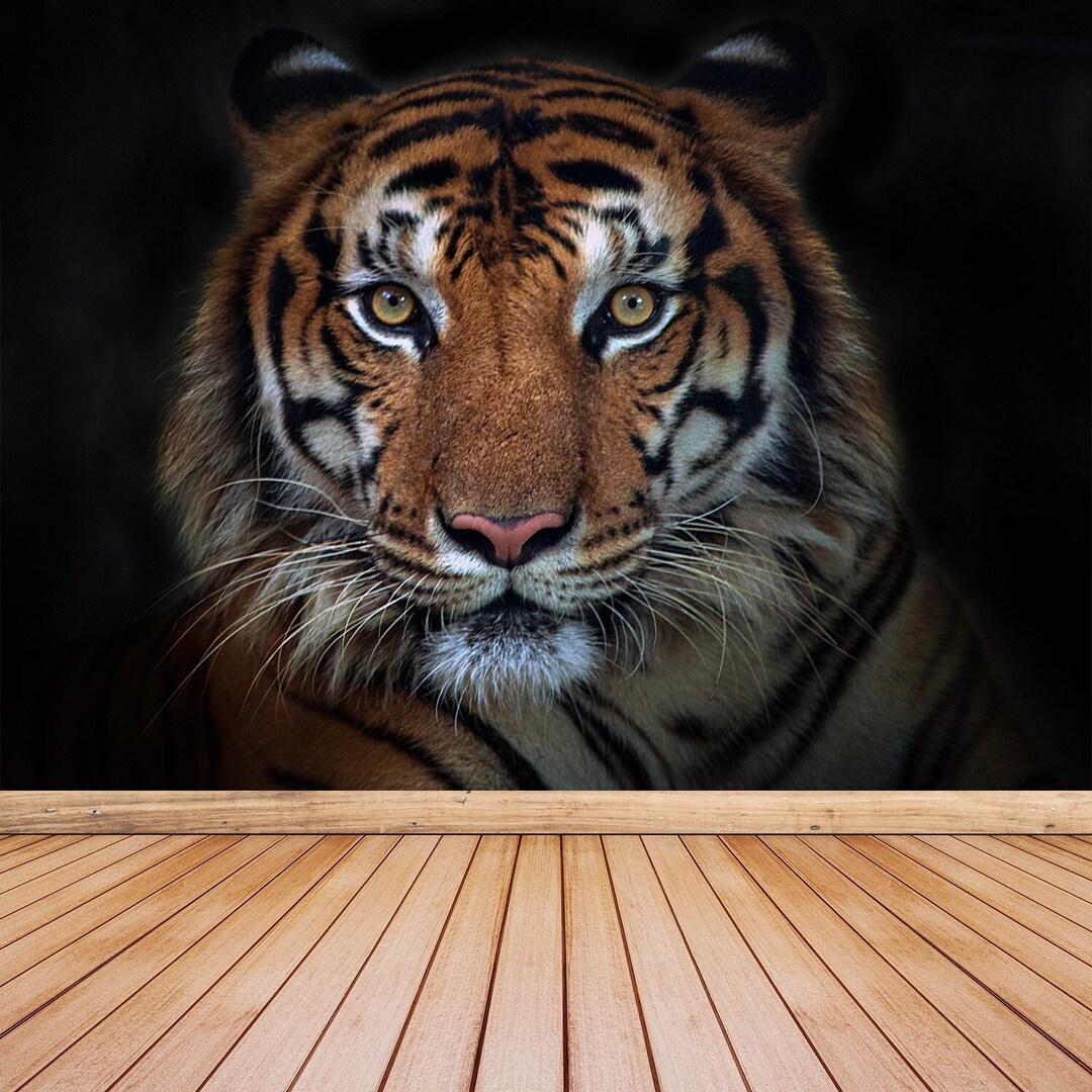 Tiger Temporary or Traditional Photo Wallpaper | Wall Mural Tiger Mural ...