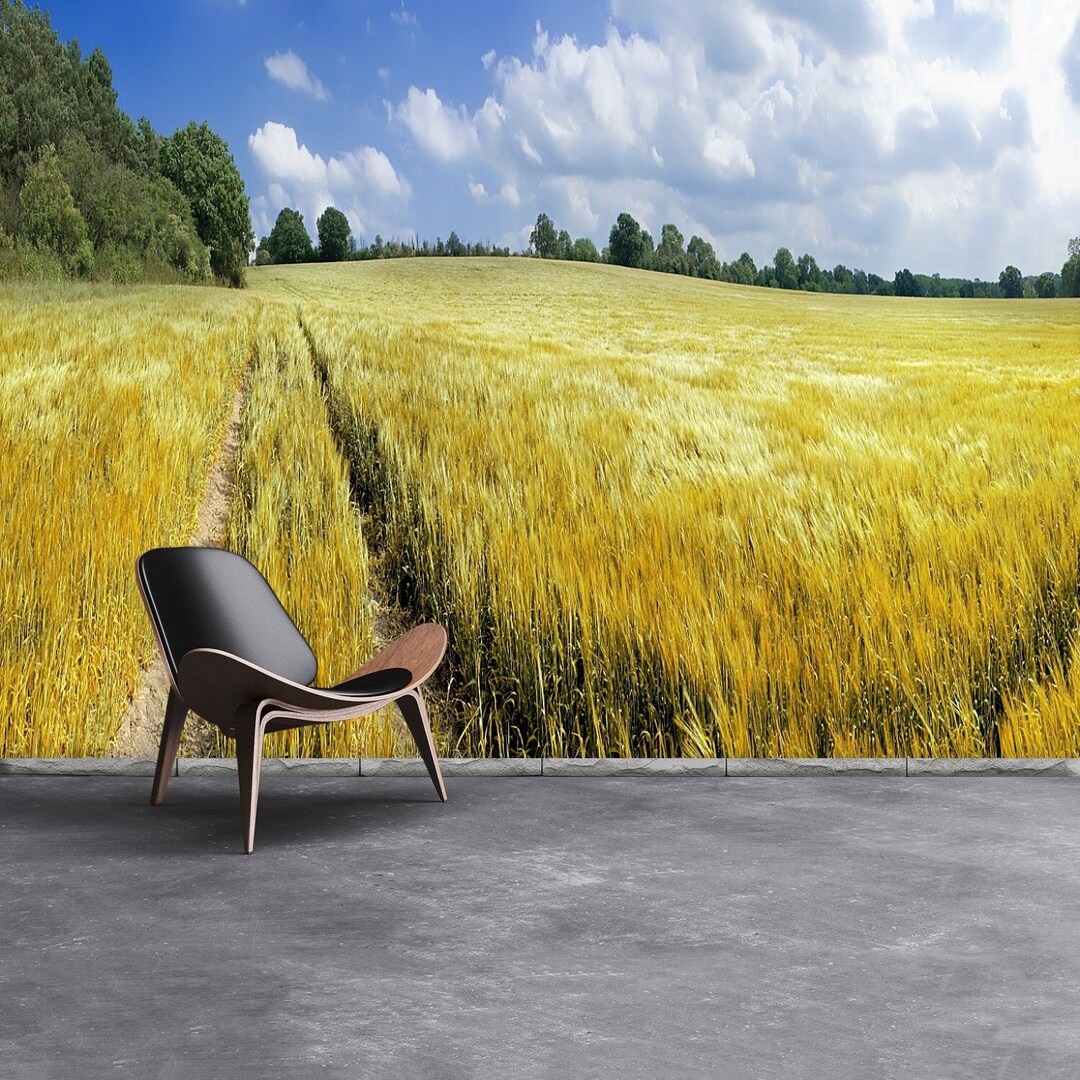 Cornfield Traditional Paste & Glue or Removable Photo Wallpaper | Wall ...