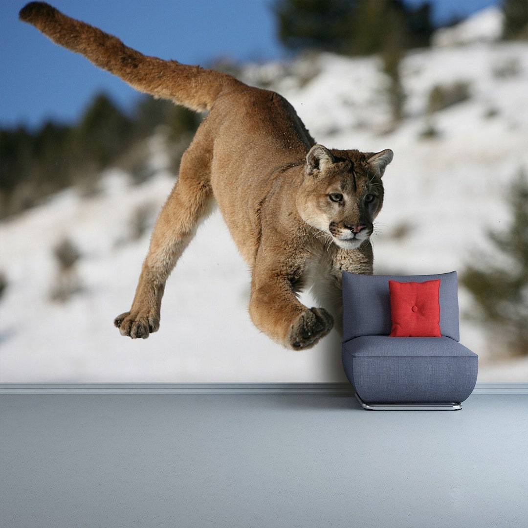 Mountain Lion Cat Removable or Traditional Wall Mural | Wallcovering ...