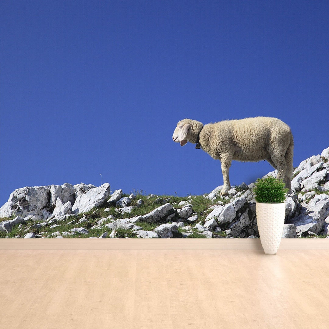 Sheep Repositionable Mural | Wallpaper Sheep Photo Traditional Wall ...