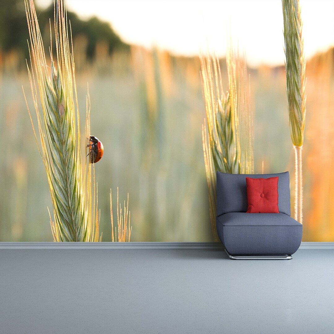 Ladybug Peel&stick or Non-woven Wallpaper | Wall Mural Ladybug Sunlight ...