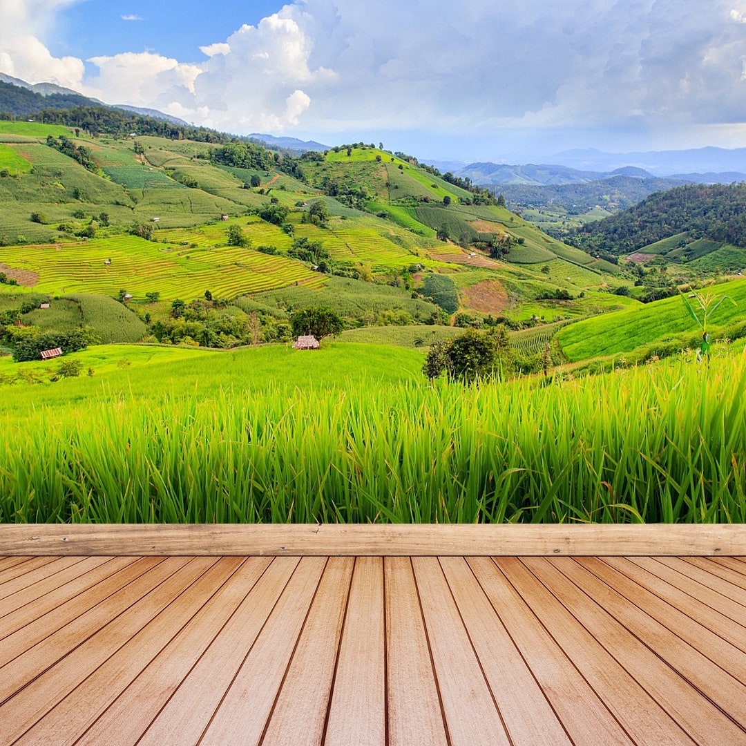 Rice Field Vinyl or Self-adhesive Photo Wallpaper | Mural Green ...