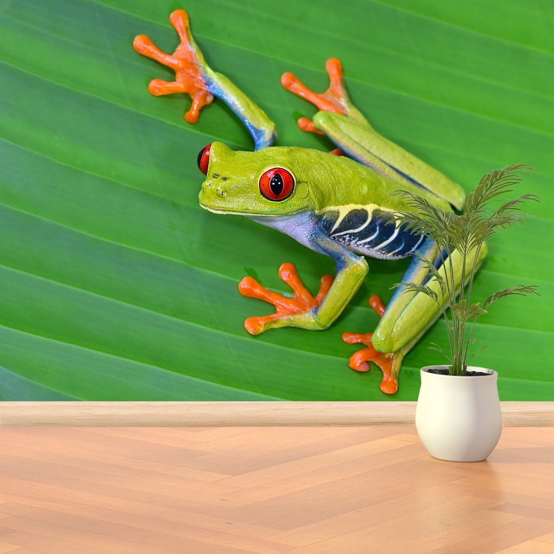 Red Eyed Tree Frog Self Adhesive or Paste and Glue Wall Mural ...