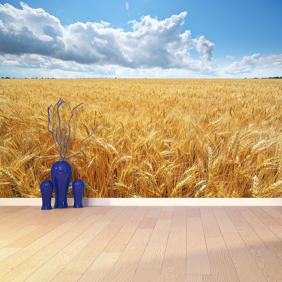 Wheat Field Self Adhesive or Paste & Glue Photo Mural | Wallpaper ...
