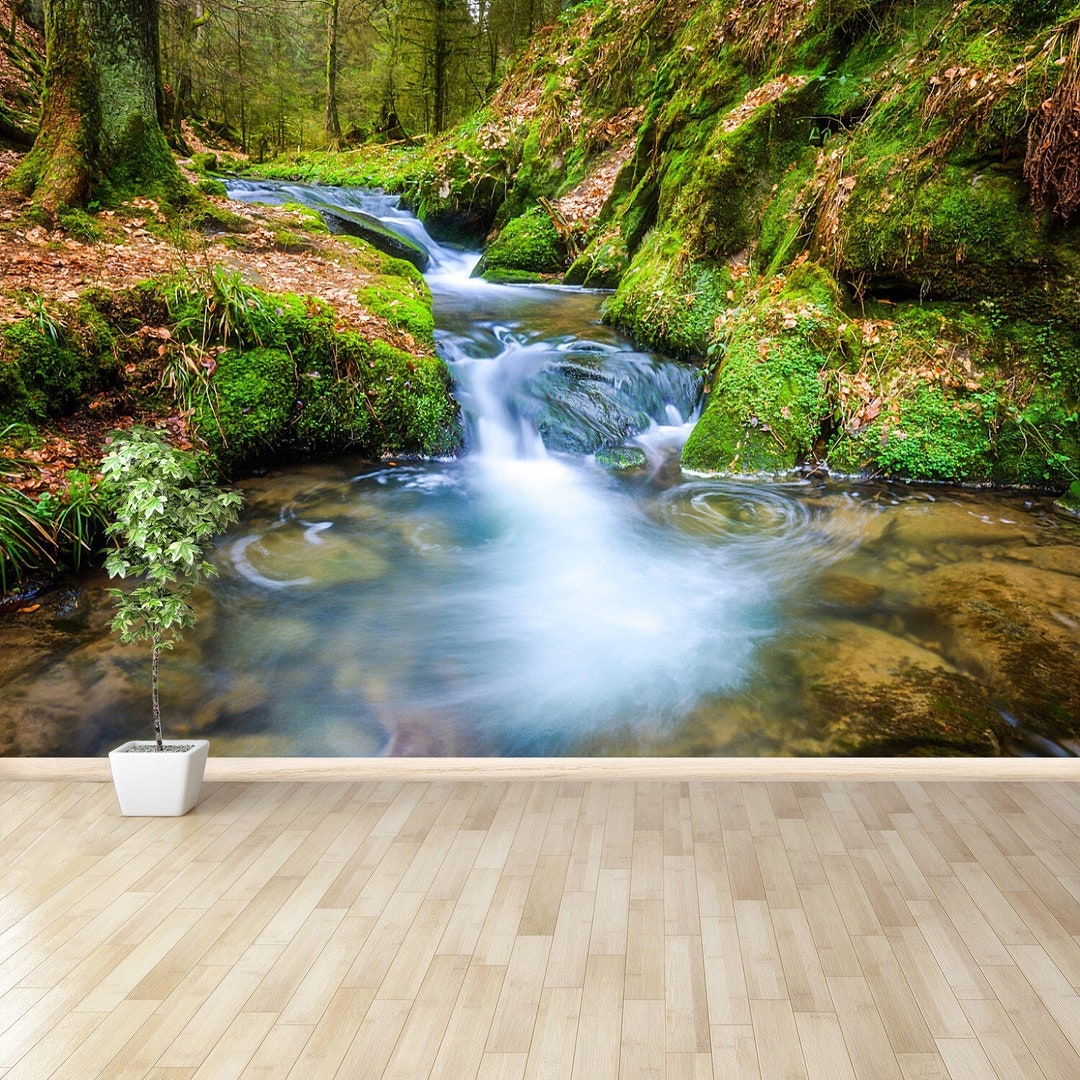 Forest Stream Temporary or Traditional Photo Mural | Wallpaper Forest ...