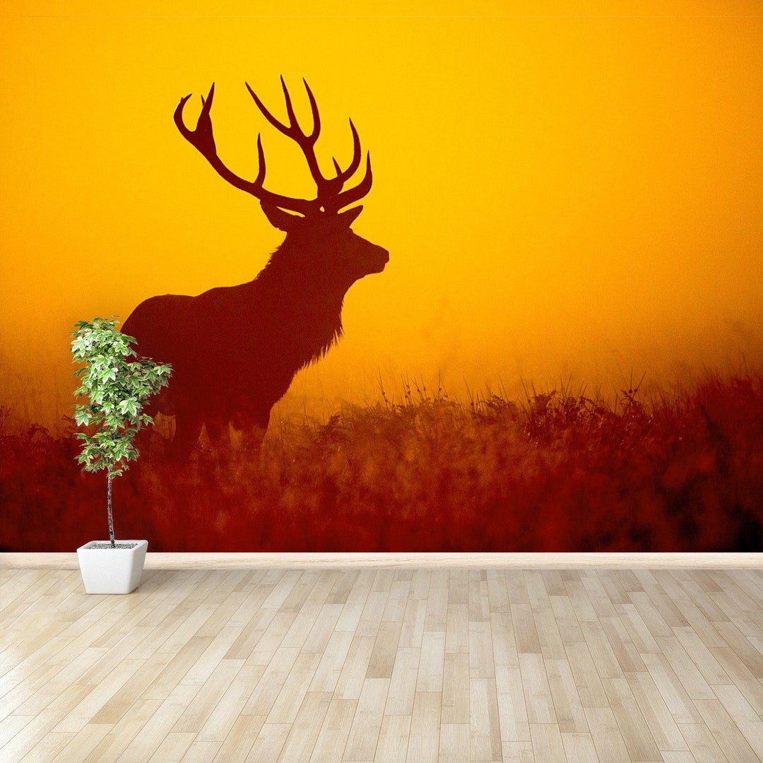 Sunrise Stag Temporary or Traditional Wallpaper | Mural Sunrise, Stag ...