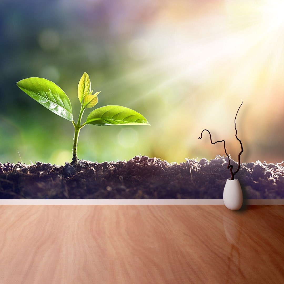 Sprout Green Traditional Paste & Glue or Removable Photo Wallpaper ...