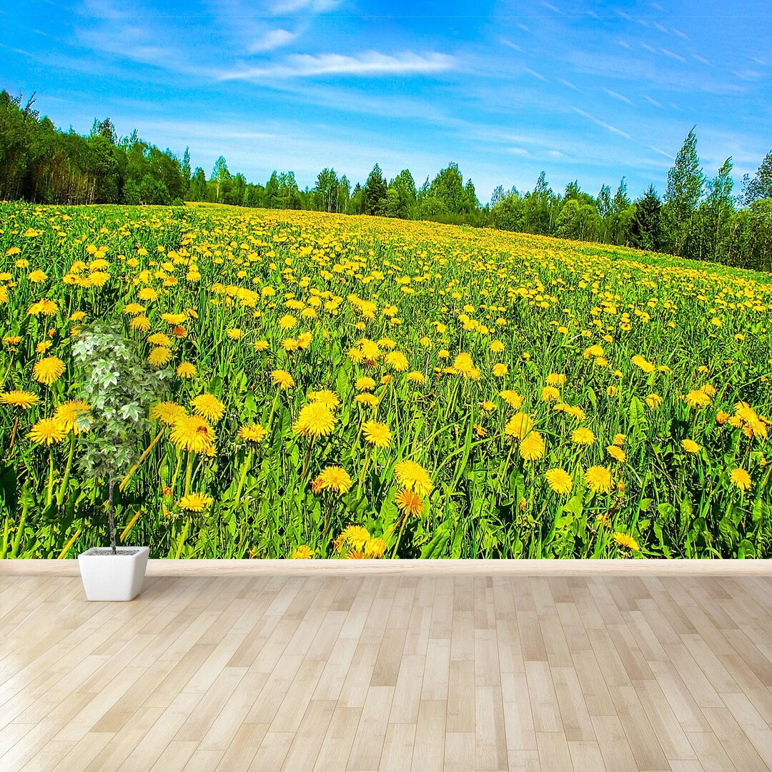 Dandelion Field Temporary or Traditional Wallpaper | Mural Meadow ...