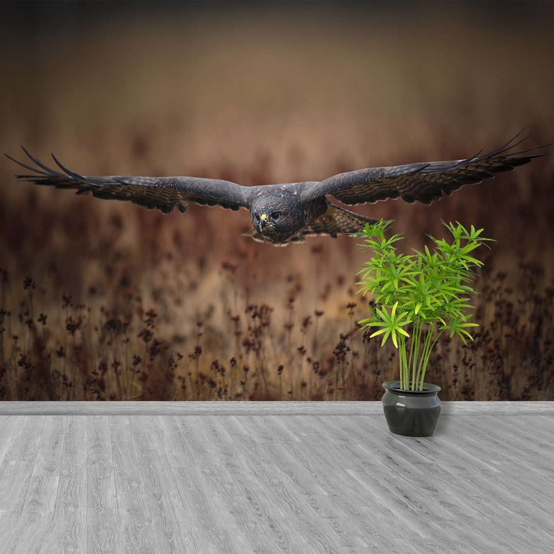 Buzzard Traditional or Removal Wall Mural | Wallcovering Buzzard ...