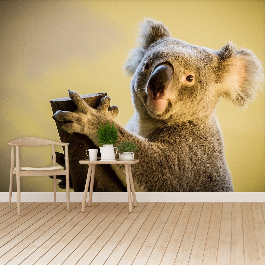 Koala Bear Self Adhesive or Paste and Glue Photo Wall Mural | Wallpaper ...