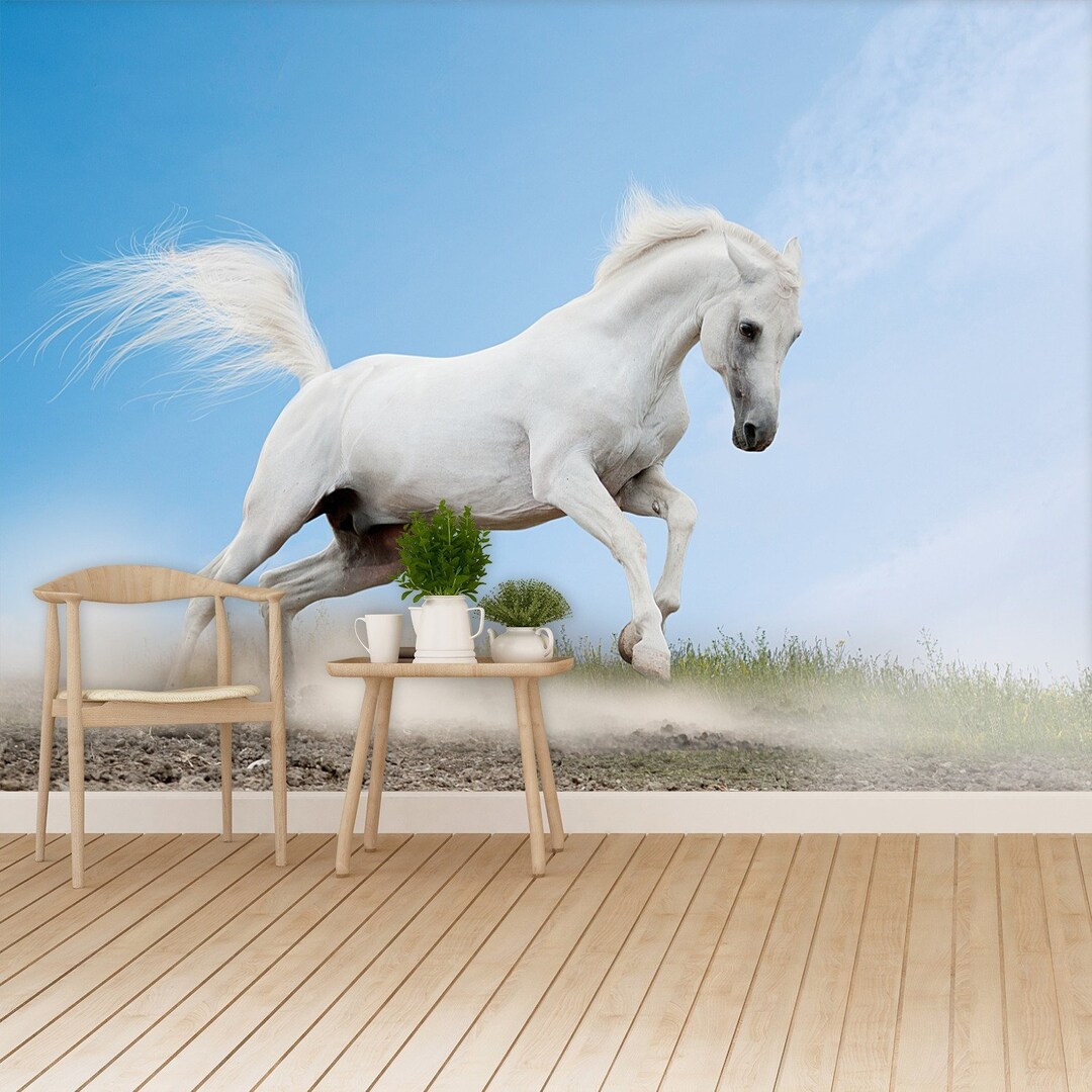 Arabian Horse White Peel and Stick or Classic Glue Mural | Wallpaper ...