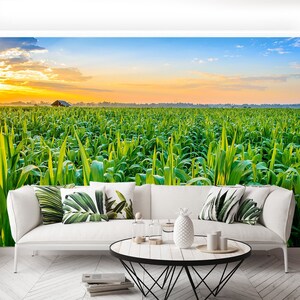 Corn Field Traditional Paste & Glue or Removable Photo Mural ...