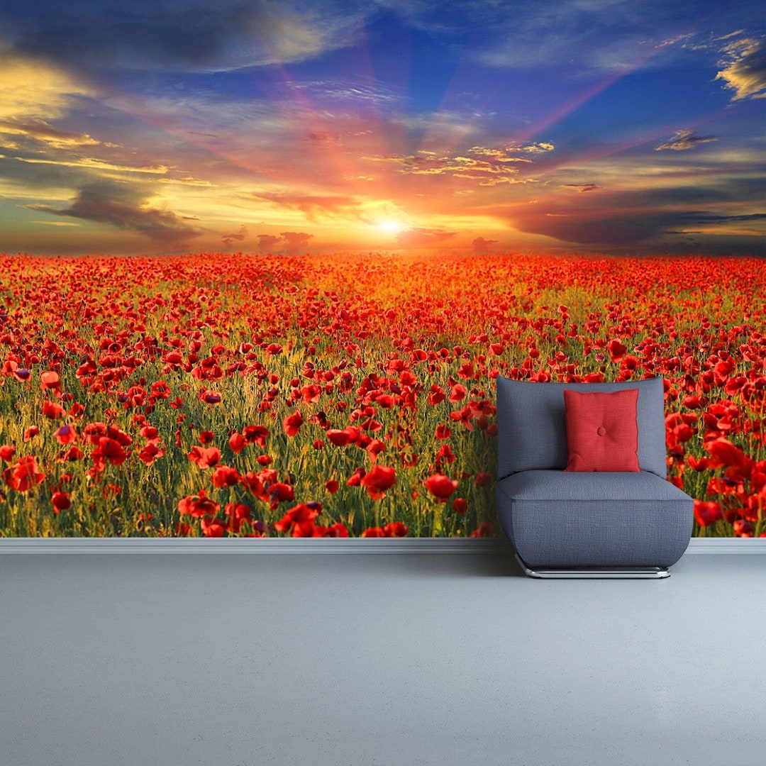 Poppy Fieldrnrn Self Adhesive or Paste & Glue Photo Wallpaper | Mural ...