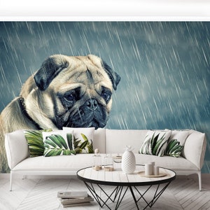 Sad Pug Dog Removable or Traditional Photo Wallpaper | Mural Sad Dog ...