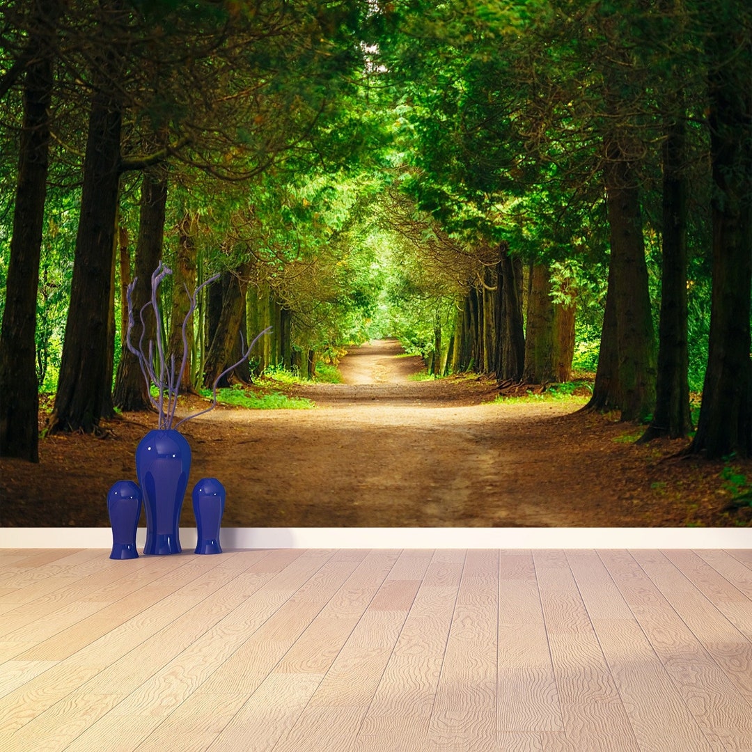 Walkway Trees Traditional Paste & Glue or Removable Photo Wallpaper ...