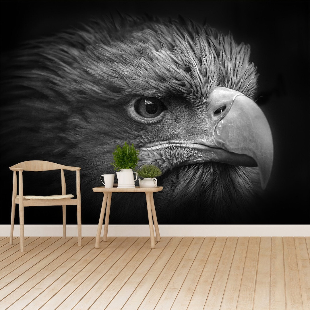 Eagle Adhesivie or Traditional Wall Mural | Wallcovering White-tailed ...