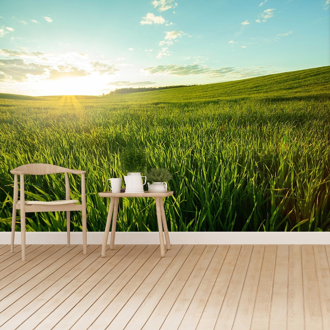 Green Meadow Peel and Stick or Classic Glue Wallpaper | Mural Green ...